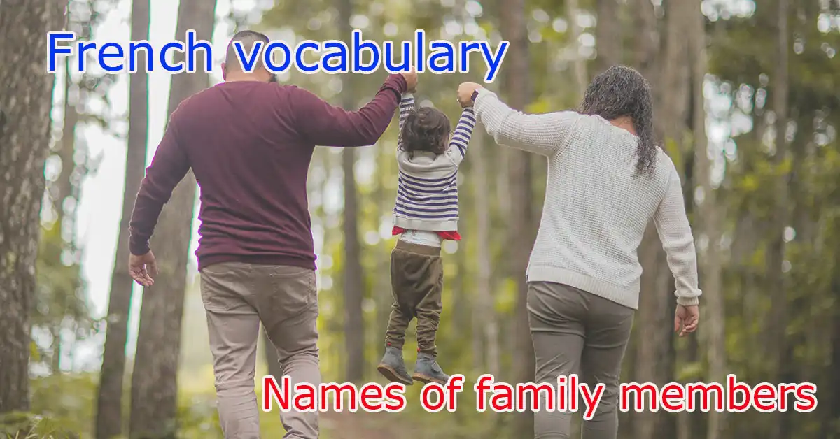 Family vocabulary in French - Learn the family words