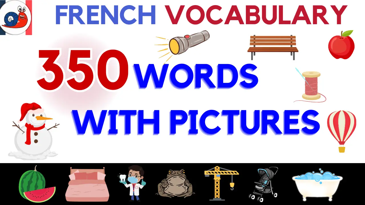 Learn Kitchenware Vocabulary in French - Kitchen Items with Audio